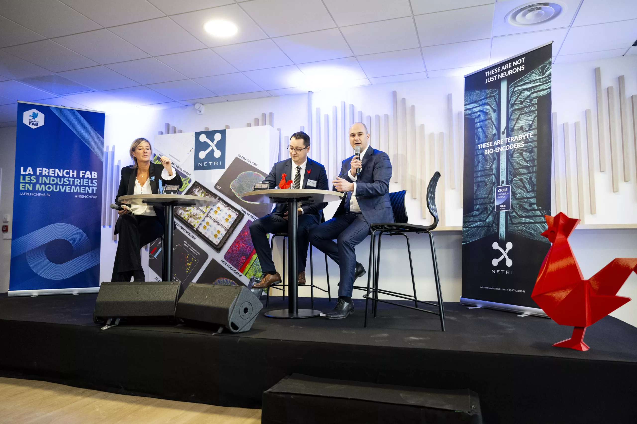 NETRI - Esprit des Sens